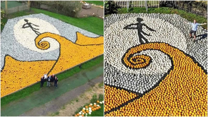 Southampton's Sunnyfields Farm Captures Halloween Spirit with Record ...
