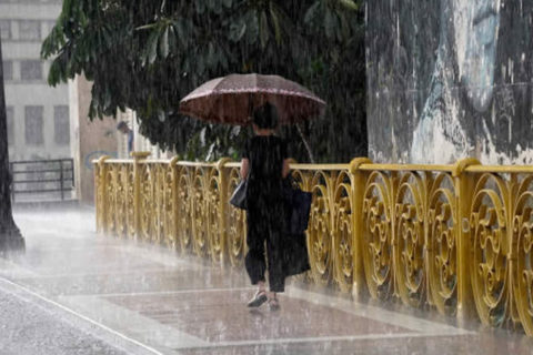 Peckhamplex: South London's Affordable Independent Cinema Becomes ...